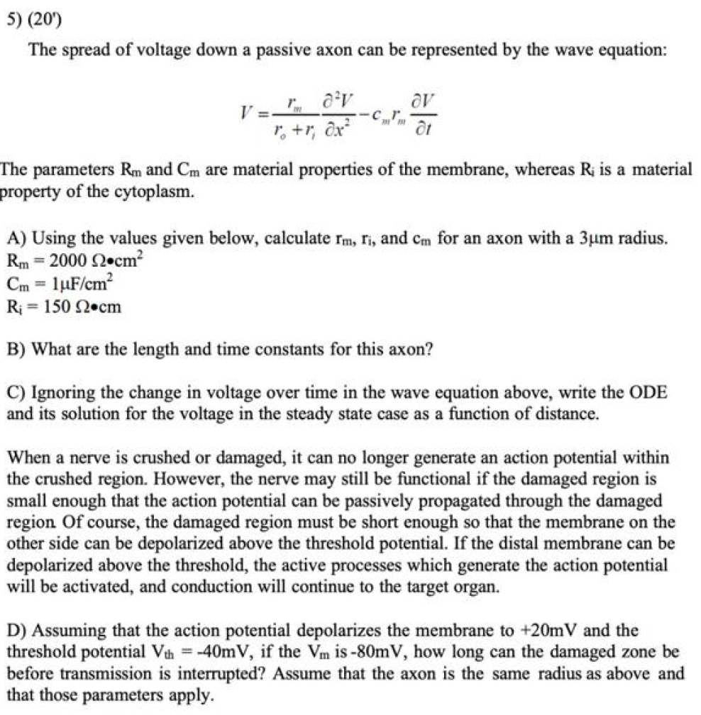 Solved 5) (20′) The spread of voltage down a passive axon | Chegg.com