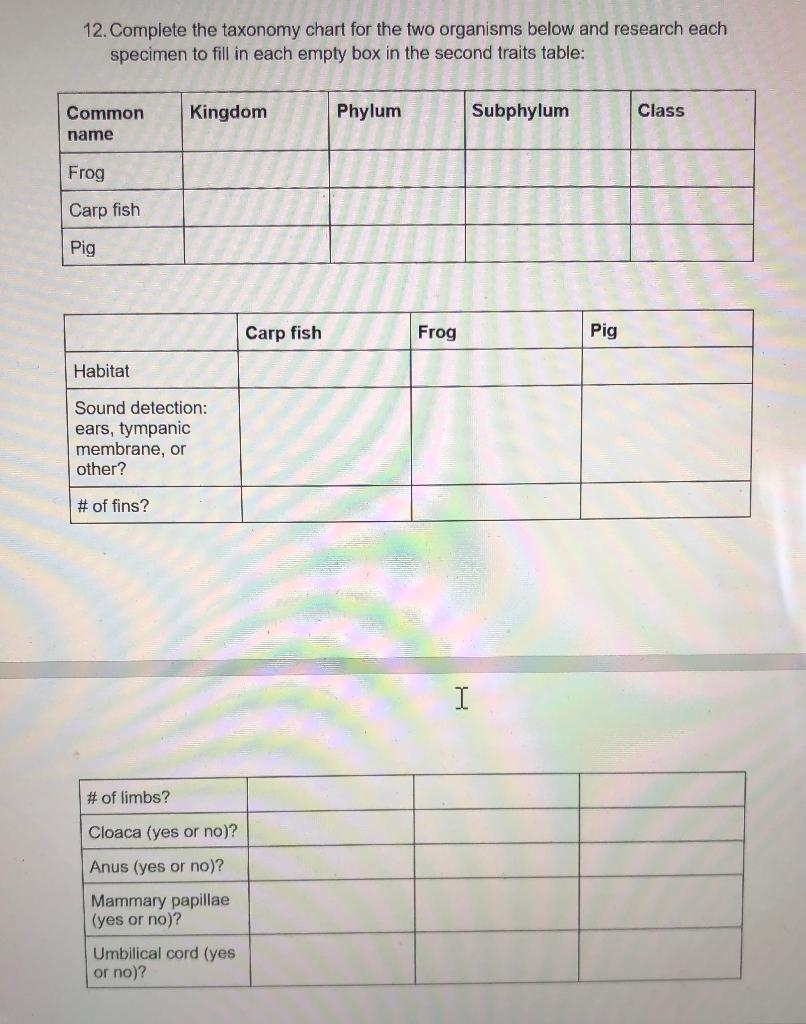 Solved 12. Complete the taxonomy chart for the two organisms | Chegg.com
