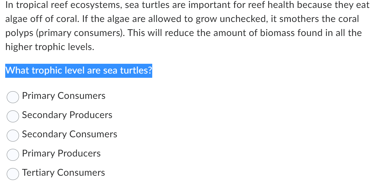 Solved In tropical reef ecosystems, sea turtles are | Chegg.com