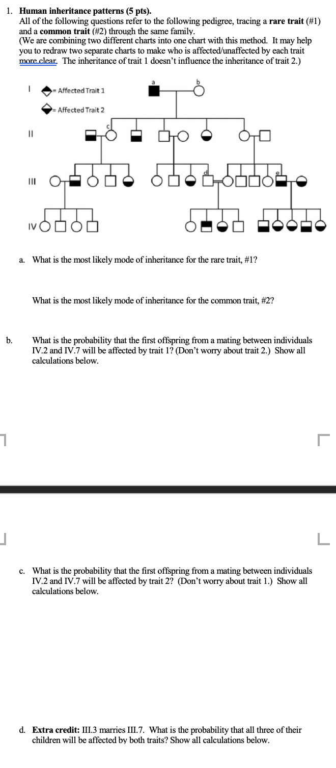 Solved 1. Human inheritance patterns (5 pts). All of the | Chegg.com