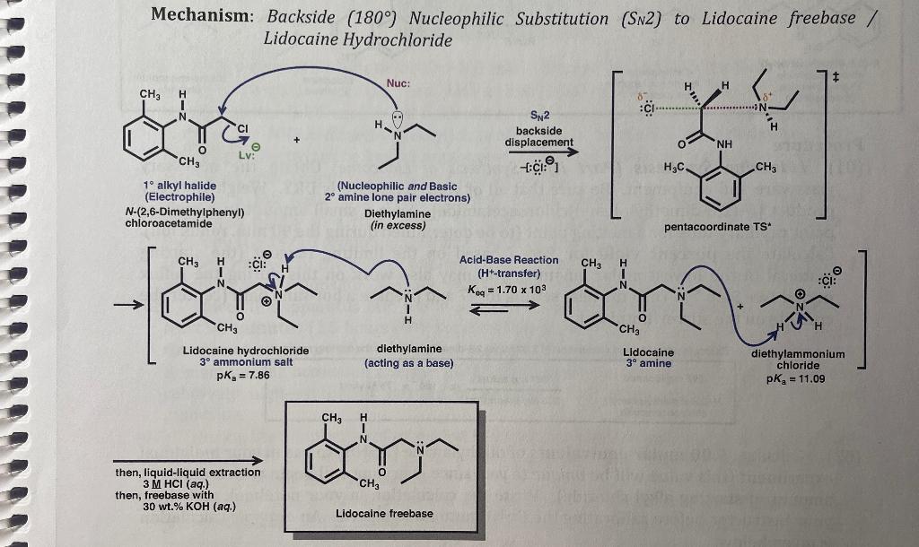 Solved please explain each step in the mechanism of the | Chegg.com