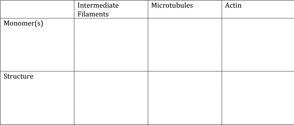 Solved Microtubules Actin Intermediate Filaments Monomer(s) | Chegg.com