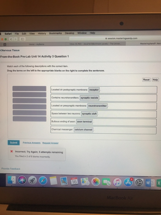 Solved Safarl File Edit View History Bookmarks Develop | Chegg.com