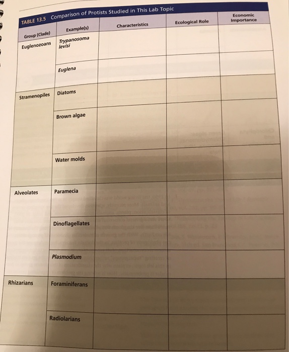 Solved Using the Protists studied in this lab topic, explain | Chegg.com