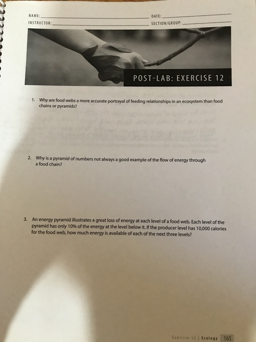 Solved NAME DATE: INSTRUCTOR: SECTION/GROUP: POST-LAB: | Chegg.com