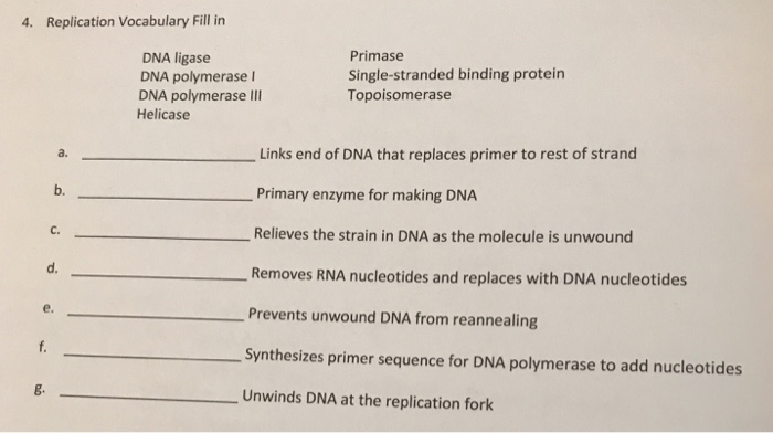 Solved 4. Replication Vocabulary Fill in DNA ligase DNA | Chegg.com