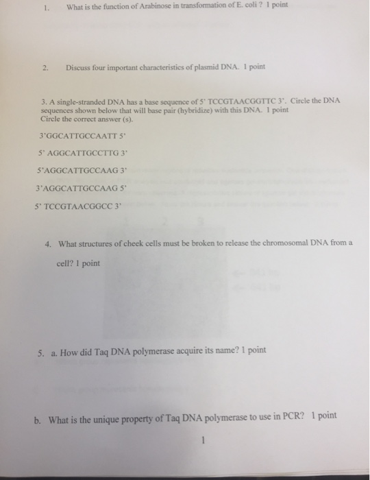 Solved What is the function of Arabinose in transformation | Chegg.com