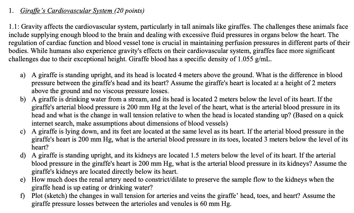 Solved Giraffe's Cardiovascular System (20 ﻿points)1.1: | Chegg.com