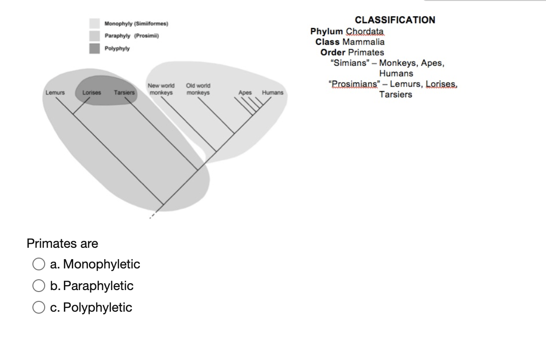 Solved Monophyly (Simiiformes) Paraphyly (Prosimii) | Chegg.com