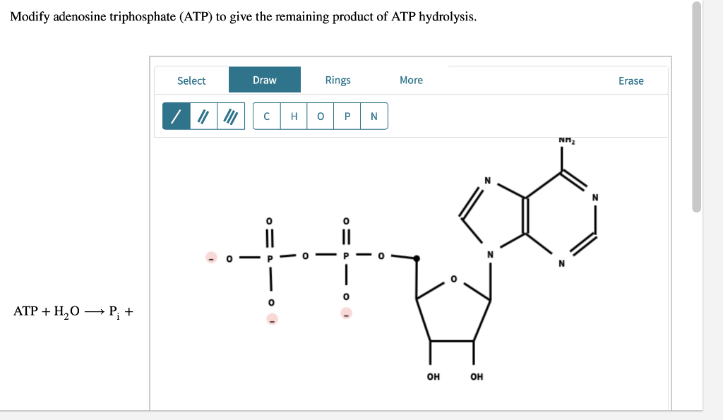 Solved Modify adenosine triphosphate (ATP) to give the | Chegg.com