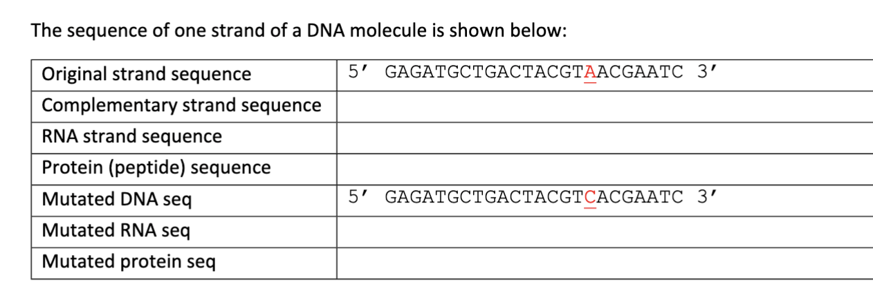 Solved The sequence of one strand of a DNA molecule is shown | Chegg.com