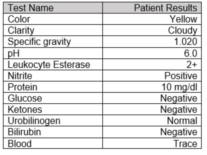 Solved A patient with elevated liver enzymes is suspected of | Chegg.com