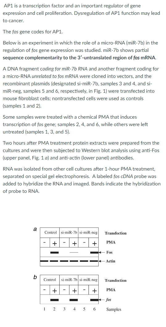 Solved AP1 is a transcription factor and an important | Chegg.com