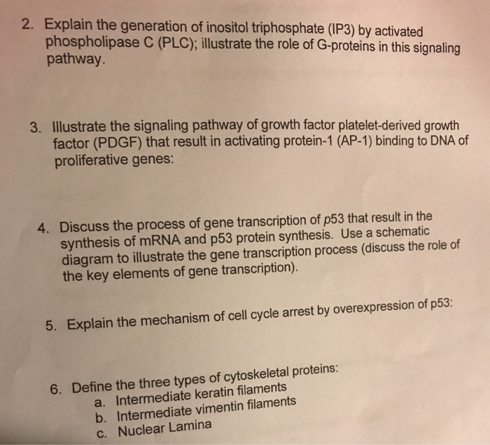 Solved Explain the generation of inositol triphosphate (IP3) | Chegg.com