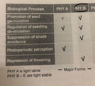 Solved Plants: The Pr:PFr ratio of phytochrome B in | Chegg.com