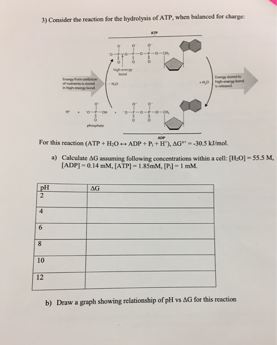 Solved Consider the reaction for the hydrolysis of ATP, when | Chegg.com
