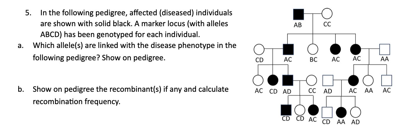 Solved In the following pedigree, affected (diseased) | Chegg.com