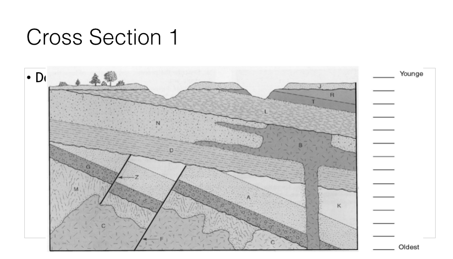 Solved Cross Section 1put The First Cross Section Into The
