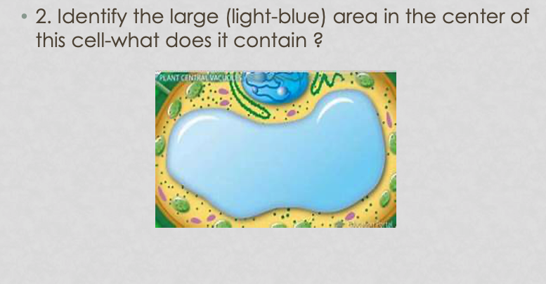 Solved 1. Identify and give function of the green-colored | Chegg.com