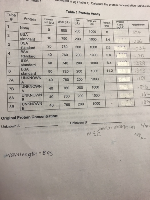Solved culated in ㎍ (Table 1). Calculate the protein | Chegg.com