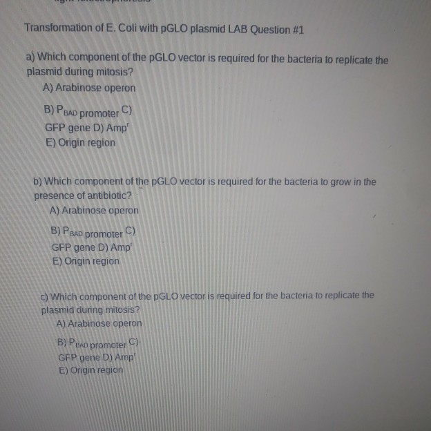Solved Transformation of E. Coli with pGLO plasmid LAB | Chegg.com