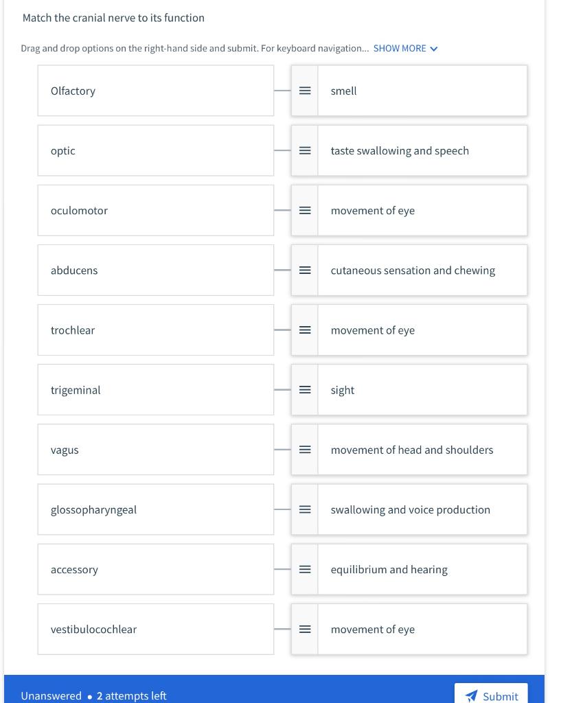 Solved Match the cranial nerve to its function Drag and drop | Chegg.com