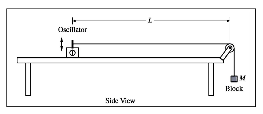 Solved As shown in the diagram above, one end of a light | Chegg.com