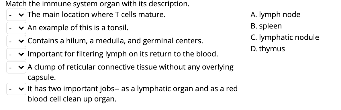 Solved Match the immune system organ with its description. v | Chegg.com