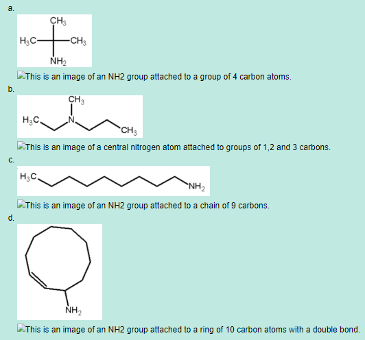 Solved This is an image of an NH2 group attached to a group | Chegg.com