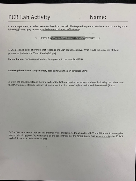 Solved PCR Lab Activity Name: In a PCR experiment, a student | Chegg.com
