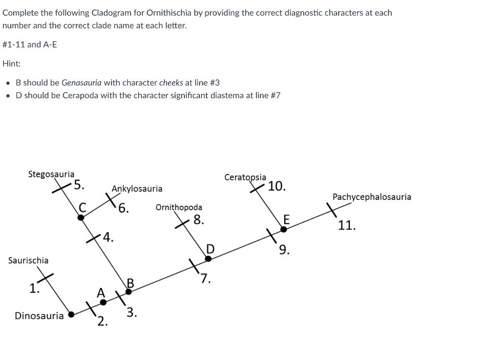 Complete the following Cladogram for Ornithischia by | Chegg.com