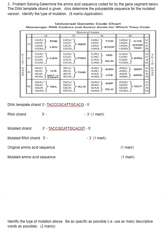 Solved 3. Problem Solving-Determine the amino acid sequence | Chegg.com