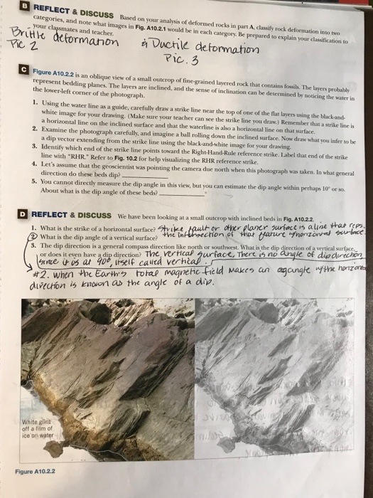 Solved REFLECT & DISCUSS Based on vour anahsis of deformed | Chegg.com