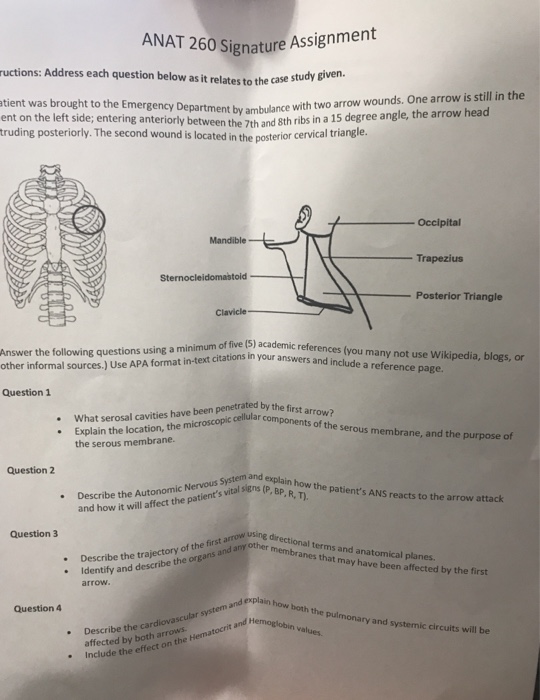 ANAT 260 Signature Assignm uctions: Address each | Chegg.com