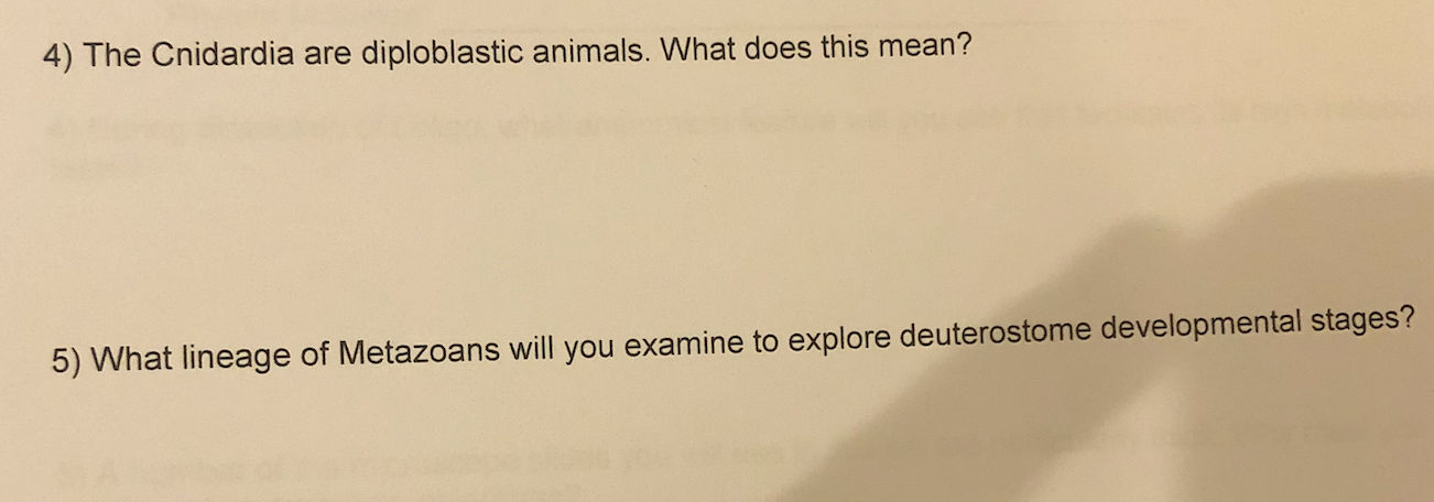 Solved 4) The Cnidardia are diploblastic animals. What does | Chegg.com