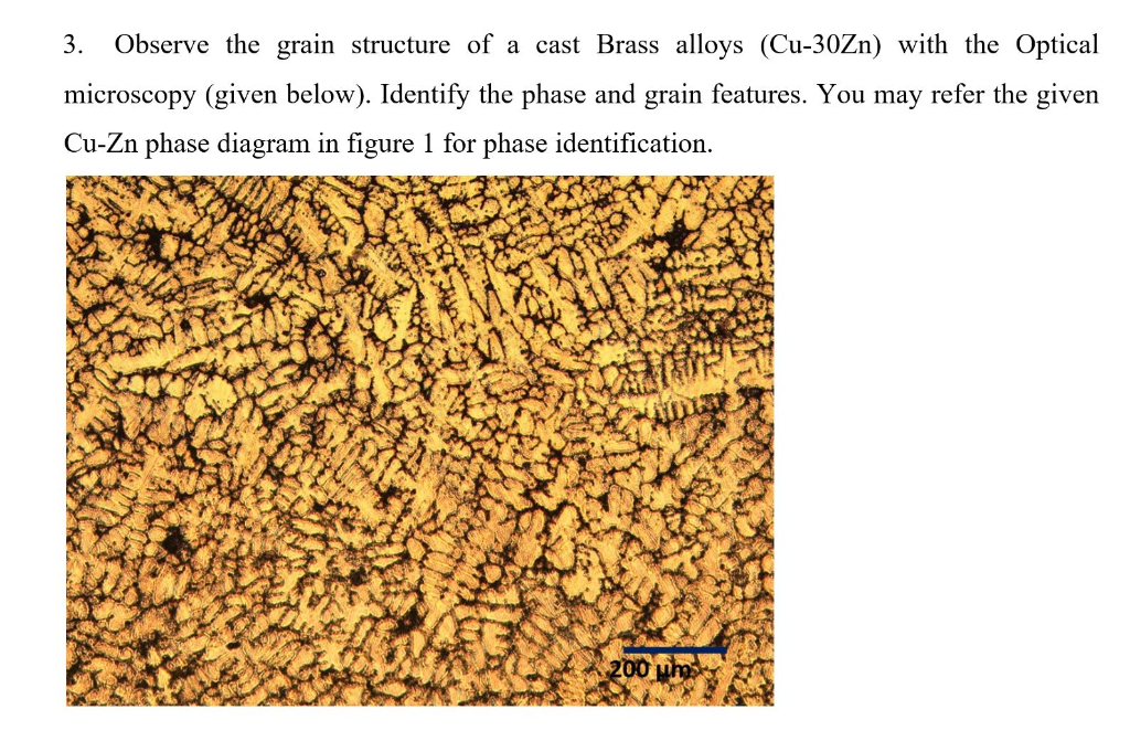 Solved 1. Observe the microstructure of three given cast | Chegg.com