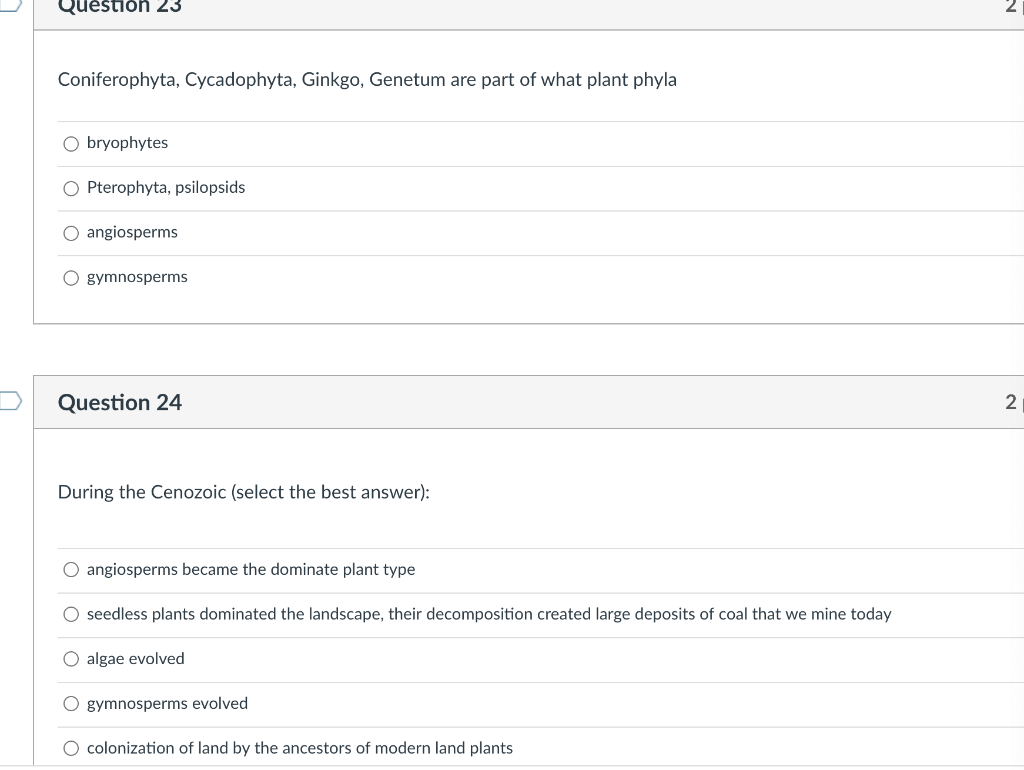 Solved lestion 23 Coniferophyta, Cycadophyta, Ginkgo, | Chegg.com