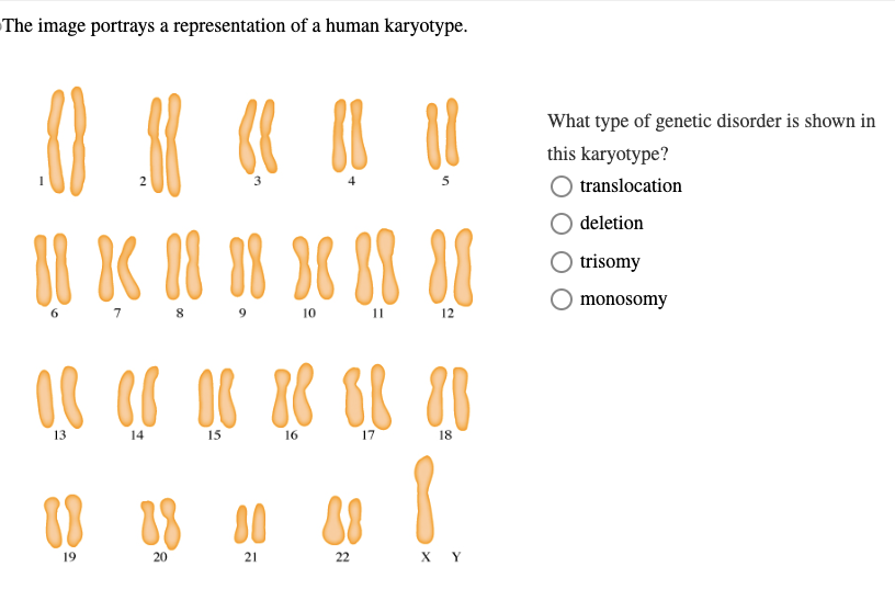 Solved The image portrays a representation of a human | Chegg.com