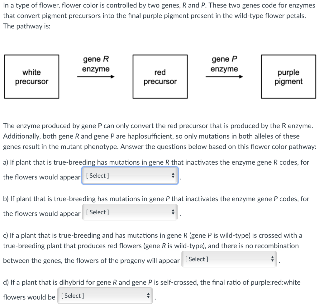 Solved In a type of flower, flower color is controlled by | Chegg.com