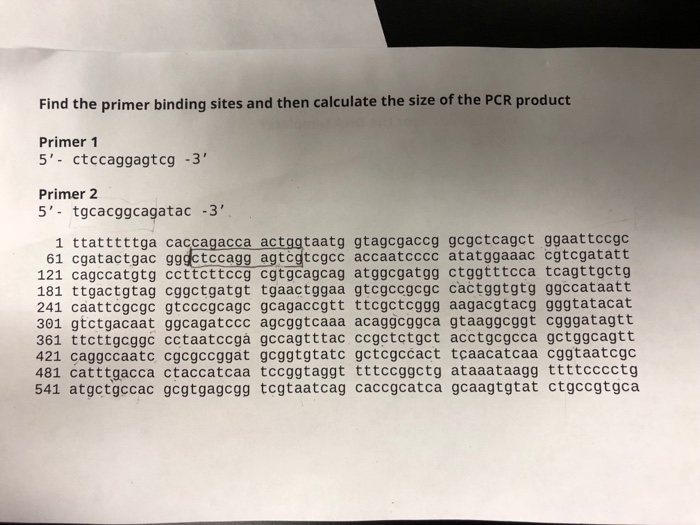 Solved Find the primer binding sites and then calculate the | Chegg.com