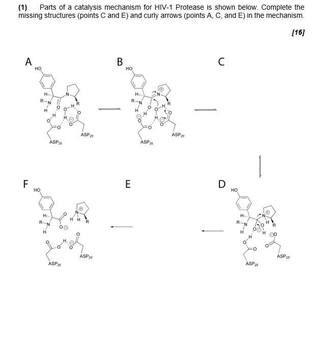 Solved Question 1: HIV Protease Enzyme System Human | Chegg.com Solved Question 1: HIV Protease Enzyme System Human | Chegg.com