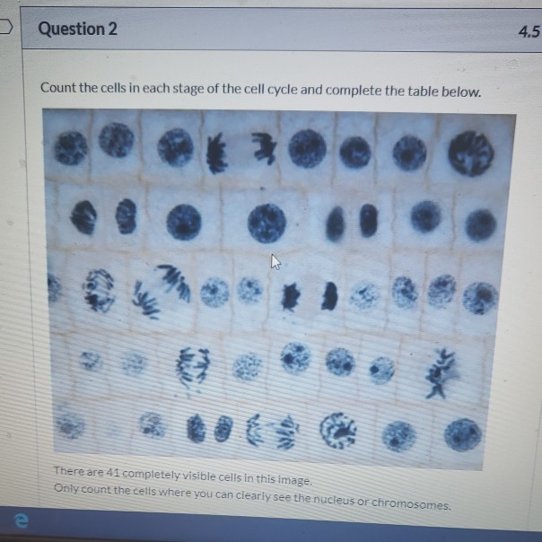 Solved: 4.5 Question 2 Count The Cells In Each Stage Of Th... | Chegg.com