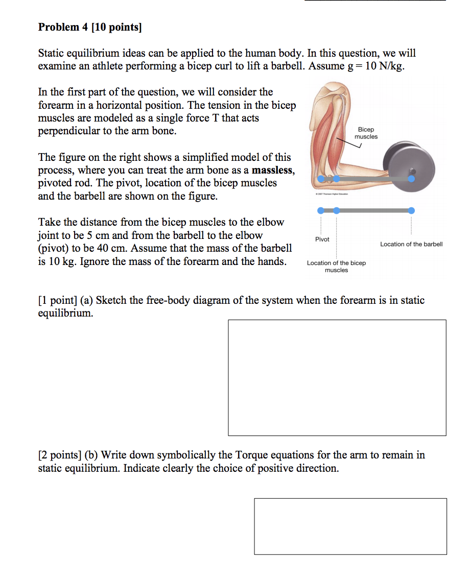 Solved Problem 4 [10 points] Static equilibrium ideas can be | Chegg.com