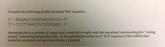 Solved Consider the following double-stranded DNA sequence | Chegg.com