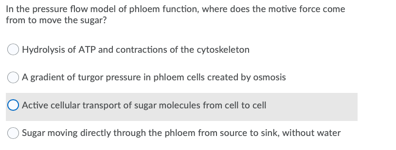 Solved In the pressure flow model of phloem function, where | Chegg.com