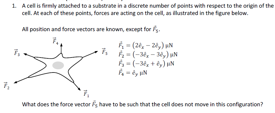 Solved A cell is firmly attached to a substrate in a | Chegg.com