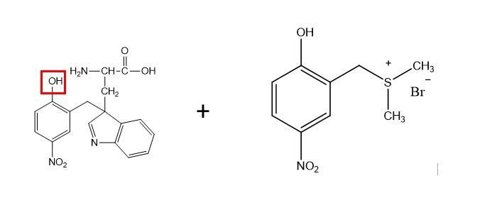 Solved Show the reaction mechanism and the product (show the | Chegg.com