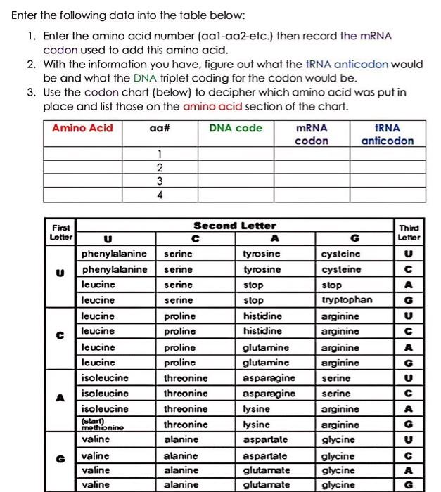 Trna Amino Acid Chart