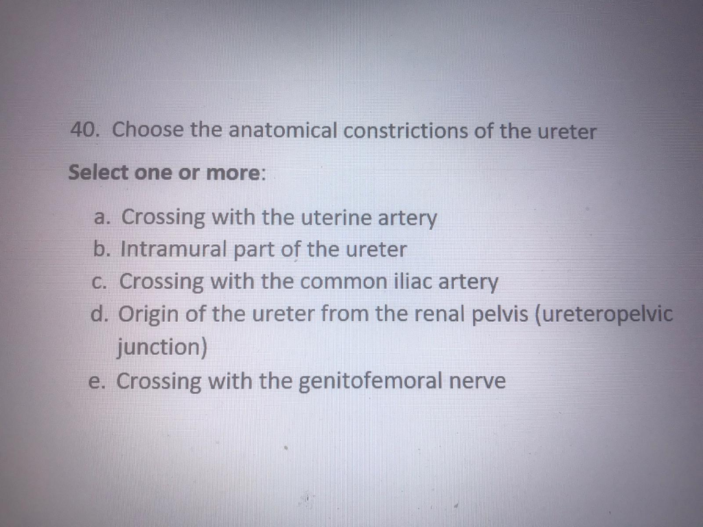 Solved 40. Choose the anatomical constrictions of the ureter | Chegg.com