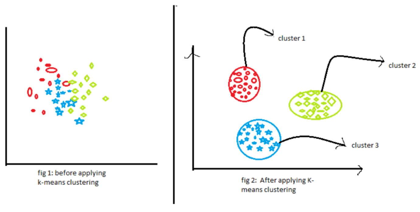 Solved Suppose you went to a vegetable shop to buy some | Chegg.com